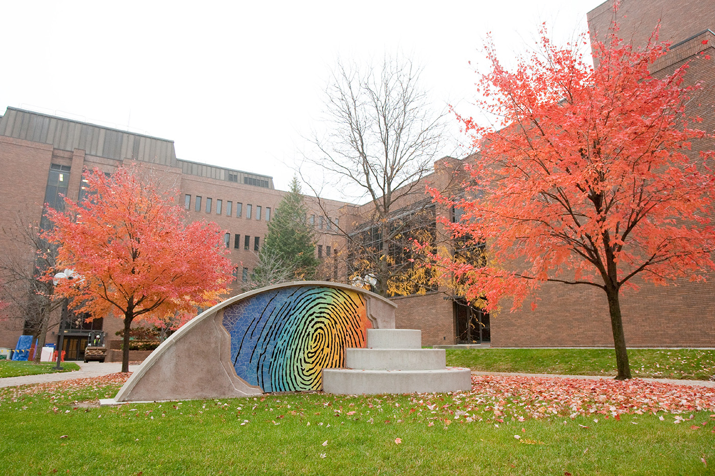 Procurement Optimization | Procurement Services - University of Michigan